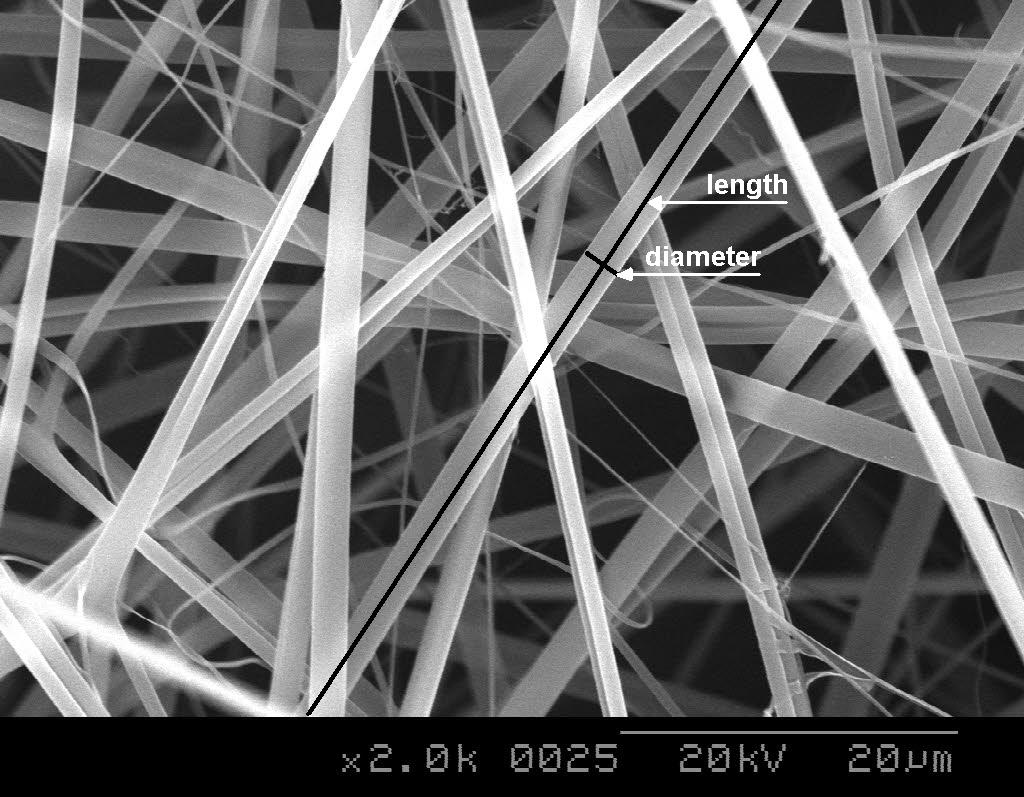 Length Weight Fiber Distribution
